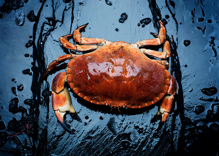 Ica Rösjöhallen - Veckans Erbjudanden